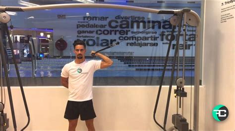 Curl De B Ceps Unilateral En Polea Alta Youtube