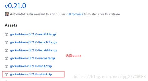 selenium安装步骤 idle怎么安装selenium csdn博客