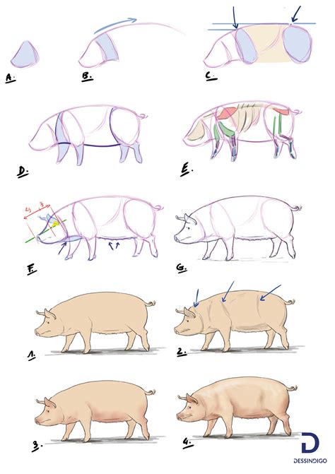 Épinglé sur Apprendre à dessiner avec Dessindigo