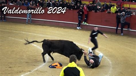 Valdemorillo 2024 Encierro y Capea con Toros Bravos de Ganadería Nuñez