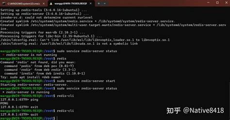 一小时实践入门 redis 知乎