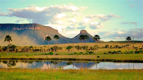 O Que Fazer Em Palmas Descubra As Maravilhas Da Capital De Tocantins