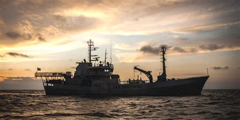 Sea Shepherd Global