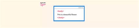Container Tags In Html Scaler Topics