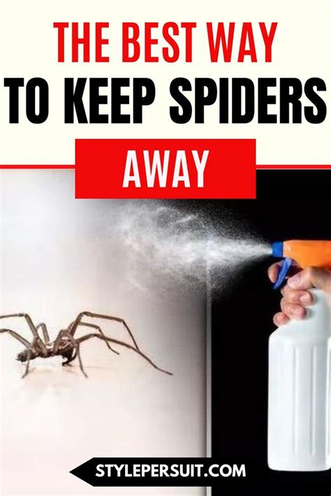 Getting Rid Of Spiders 15 Natural Ways To Keep Spiders Out Of Your Home