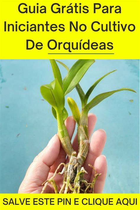 CLIQUE NA IMAGEM e garanta o seu manual grátis para iniciantes no