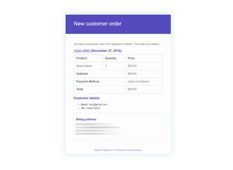How To Customize Woocommerce Emails Guide