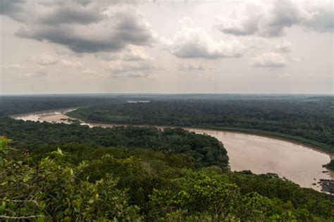 Colombie quatre enfants dont un bébé ont survécu dans la jungle