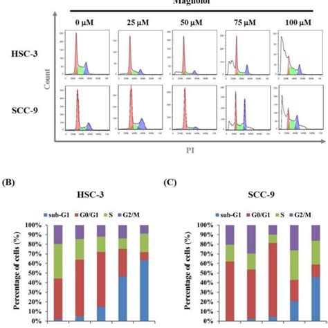 Effects Of Magnolol On The Cell Cycle Phase Distribution Of HSC 3 And