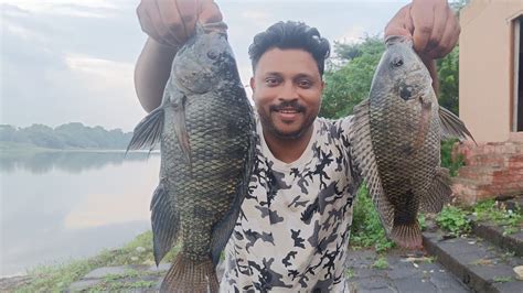 Amazing Tilapia Catching I Best Tilapia Fishing I Tilapia Fishing