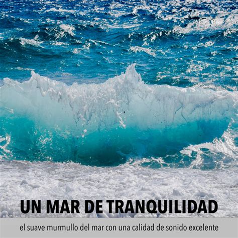 Audiolibro Un Mar De Tranquilidad El Suave Murmullo Del Mar Con Una