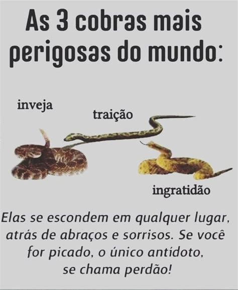 Palavras Erradas S O Como Pregos Martelados Na Parede Quando Retirados