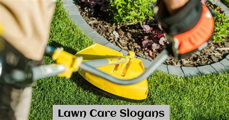 350 Catchy Lawn Care Slogans And Taglines