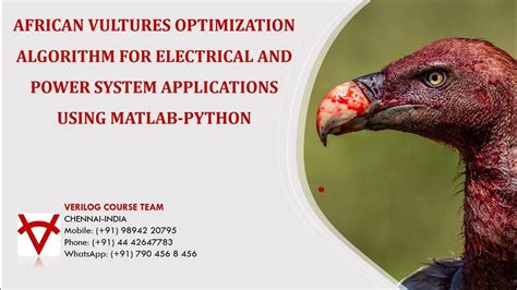 african vultures optimization algorithm for electrical and power system applications matlab python
