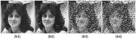 fractal fract free full text a visually secure image encryption based on the fractional