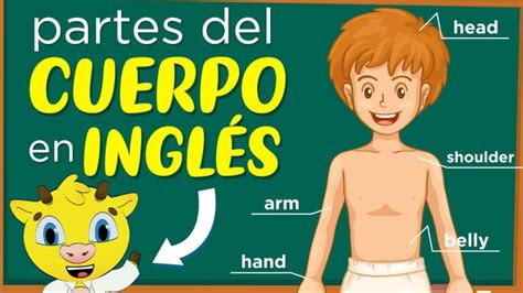 Divertidos ejercicios de vocabulario en inglés para primaria aprende