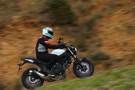 Suzuki SV Listino Prezzo Scheda Tecnica Foto Insella It
