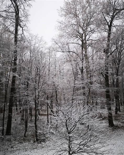 Maltempo Ancora NEVE E GELO Al Nord Con La Tempesta Di Santa Lucia