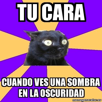 Meme Anxiety Cat Tu Cara Cuando Ves Una Sombra En La Oscuridad 27613132