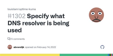 Specify What Dns Resolver Is Being Used Issue Louislam Uptime