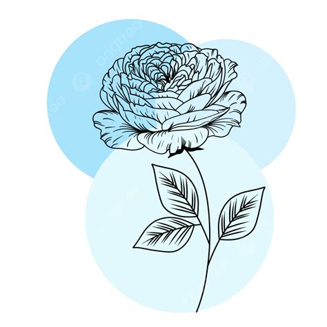 Minimalism Wall Decor Minimalism Minimalism Art Flower PNG