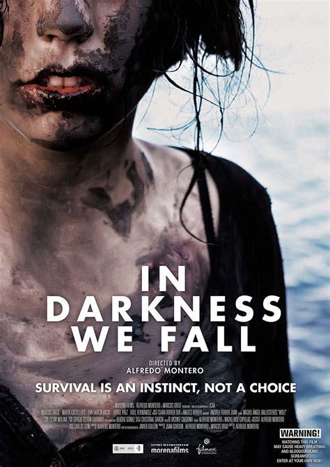 Why Do We Fall Poster