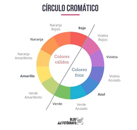 Circulo Cromatico Mas Neutrales En Calidos Y Frios Circulo Cromatico