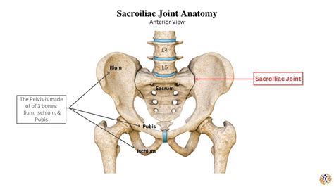 Sacroiliac Si Joint Osteoarthritis Ilyas Munshi M D