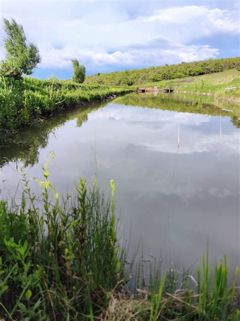Un nou lac de pescuit în județul Cluj Balta Feleacu populat cu somn