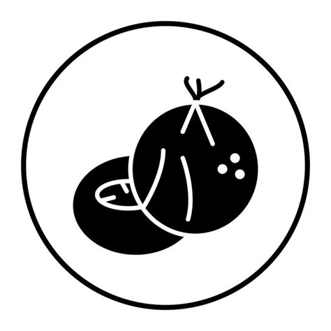 Premium Vector Coconut Vector Illustration