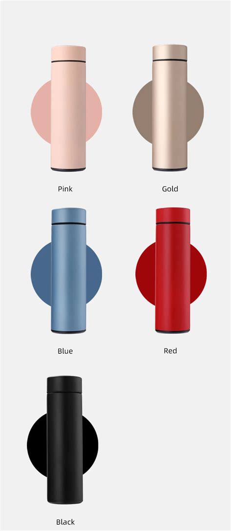 Bouilloire électrique Thermos Intelligent de 500ML avec affichage de la