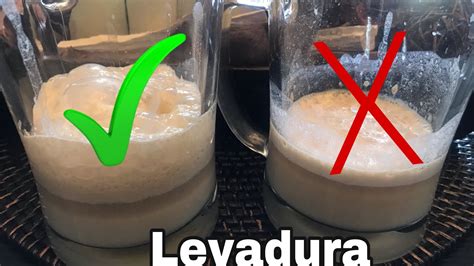 Cómo saber si la levadura sirve instantánea YouTube