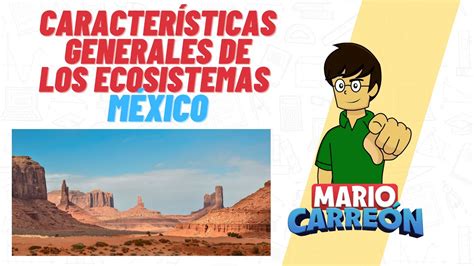 Principales Ecosistemas De Mexico Y Sus Caracteristicas