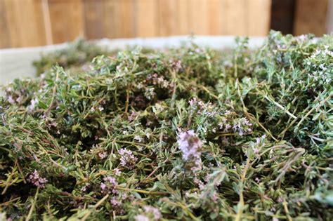 Thym 30 G L Herberie De La Saulx Locavor Fr