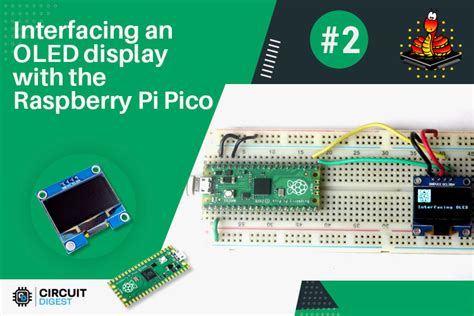 interfacing ssd1306 oled display with the raspberry pi pico using micropython