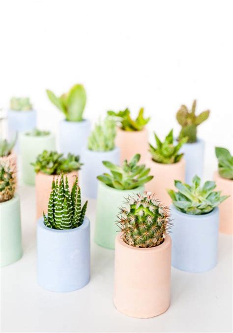 DIY déco 30 idées pour customiser un cache pot Succulent planter