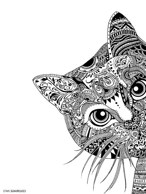 Mandala Chat Beau Photos Coloriage Mandala Chat Difficile Adulte Dessin