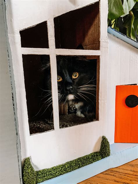 How To Make A Cardboard Cat House The Green Mad House