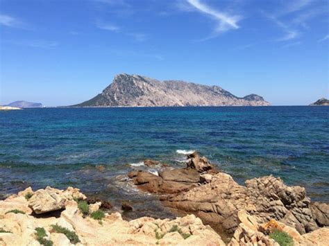 SEXTO GRADO GRUPO A EL MAR MEDITERRÁNEO UN ESPACIO DE INTERCAMBIO
