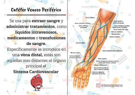 Cateter Venoso Periférico uDocz