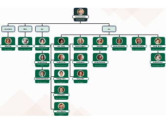 Starbucks Org Chart EdrawMax Templates