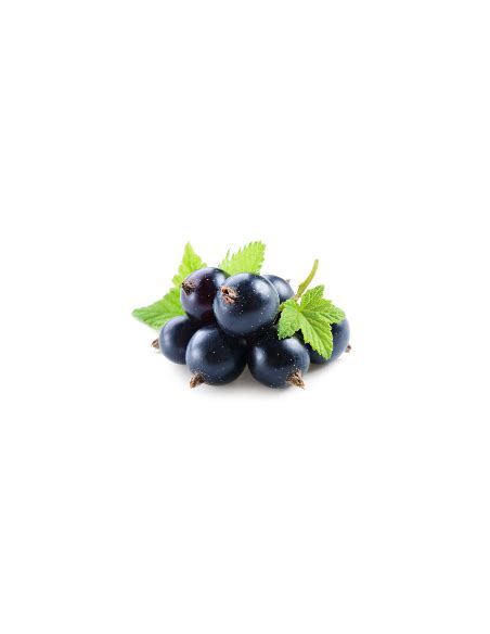 1 Arbolito De Grosella Negra Consort Ribes Nigrum Venta De Grocella