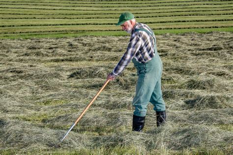 Szykuje się wyrównanie zasad przyznawania emerytur z KRUS i ZUS Jest