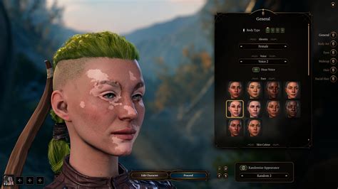 The Baldurs Gate 3 Character Creator Is Insanely Detailed Including Mixed Genital Options