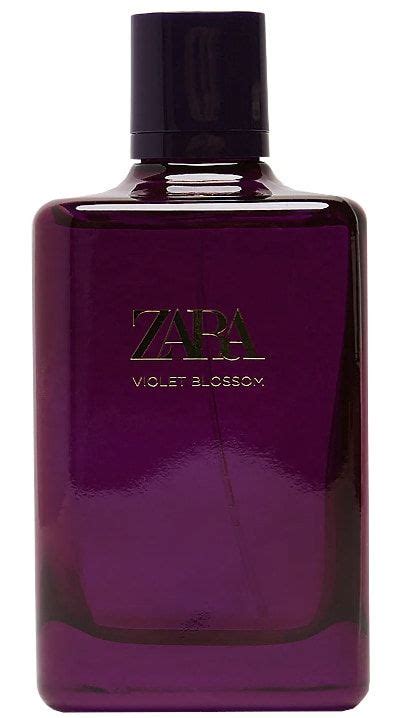 10 Best Zara Perfumes For Women Reviewed Viora London Perfume