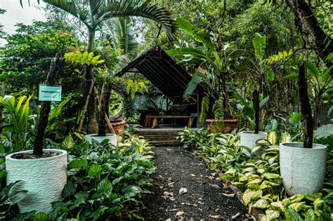 Jakarta Escape Yayasan Rumah Perubahan