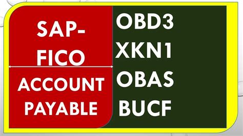 SAP FICO S4 HANA ACCOUNTS PAYABLE TRAINING OBD3 XKN1 OBAS BUCF BP