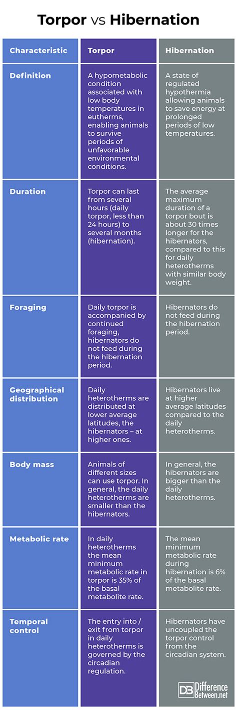 Difference Between Torpor And Hibernation Difference Between Torpor