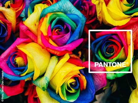 15 Couleurs Pantone Tendance Automne Hiver 2023 2024 MaxiTendance