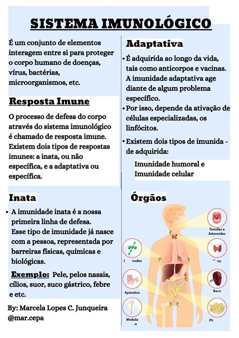 Sistema imunolÓgico Artofit